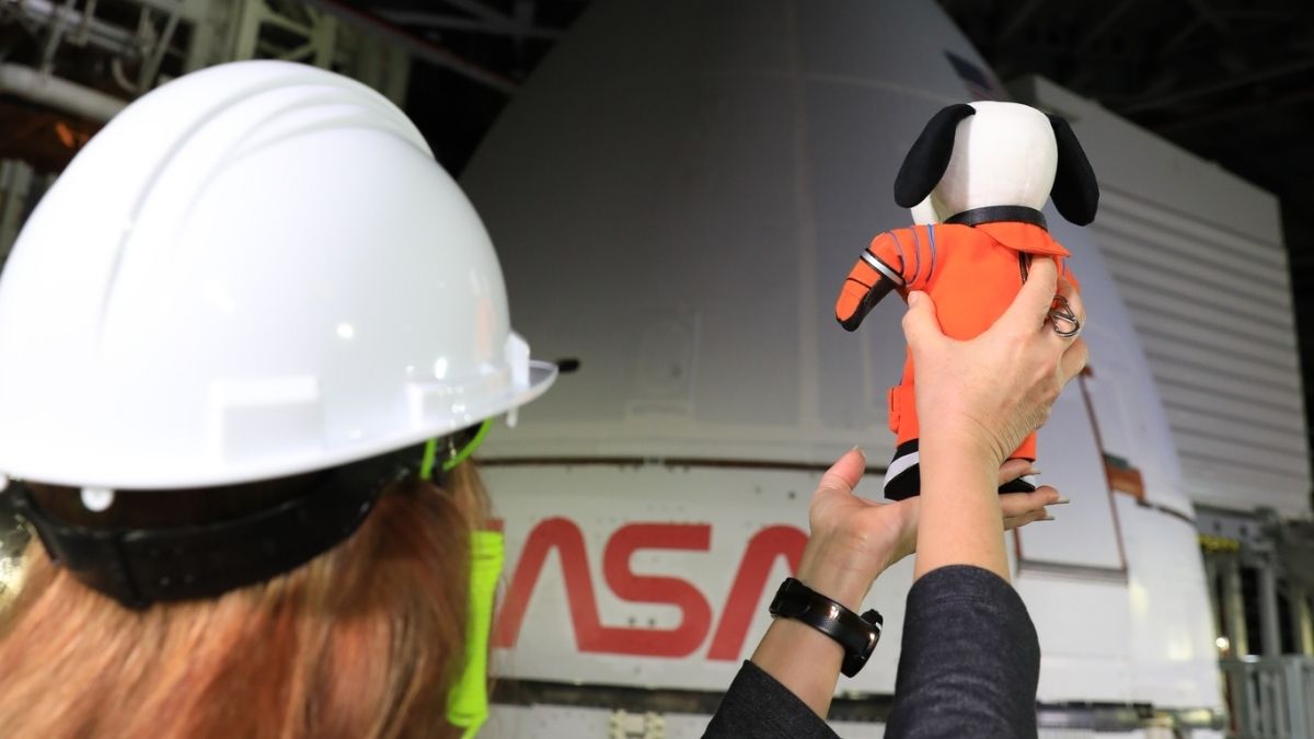 Confirmado el primer astronauta en la misión a la Luna, Artemis I: Snoopy